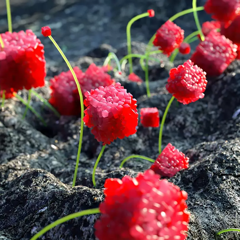 数字艺术家 David Brodeur 想象的外星花朵、植物和结晶岩石 4444_3