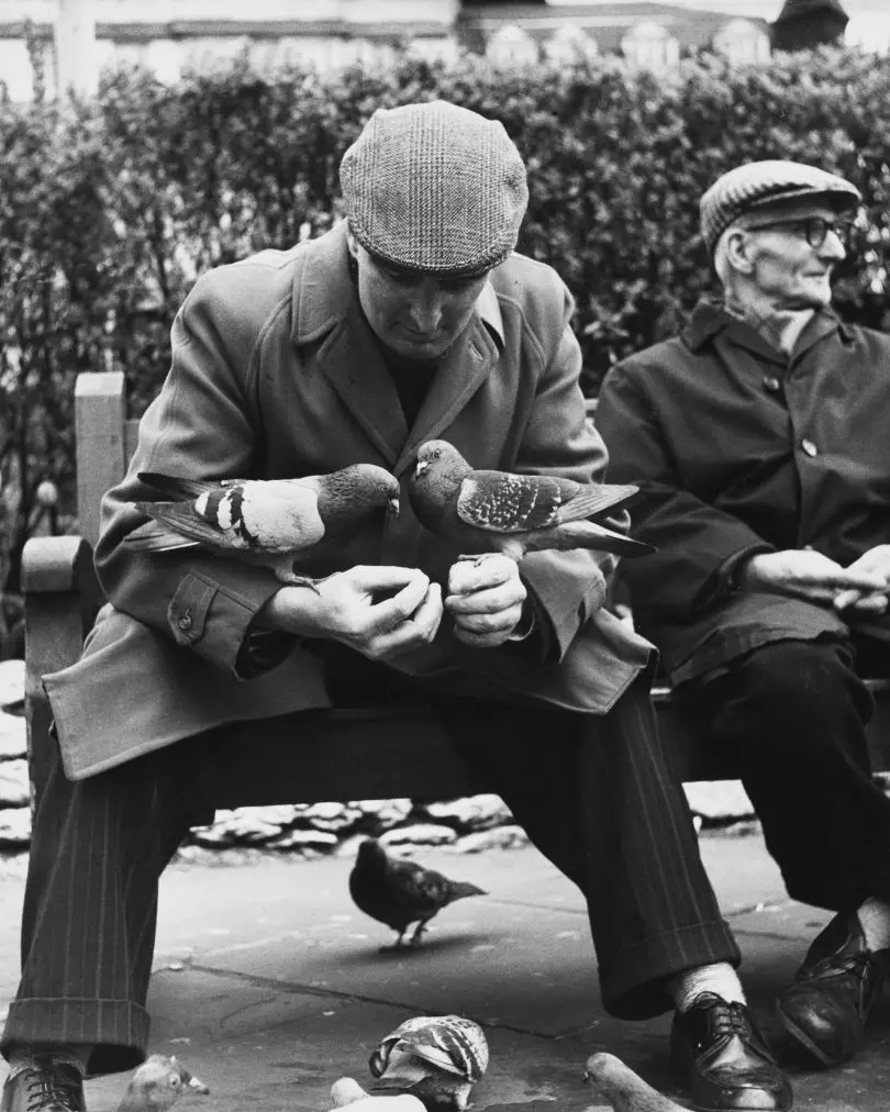 Shirley Baker, Manchester (Muž s holubmi), 1967