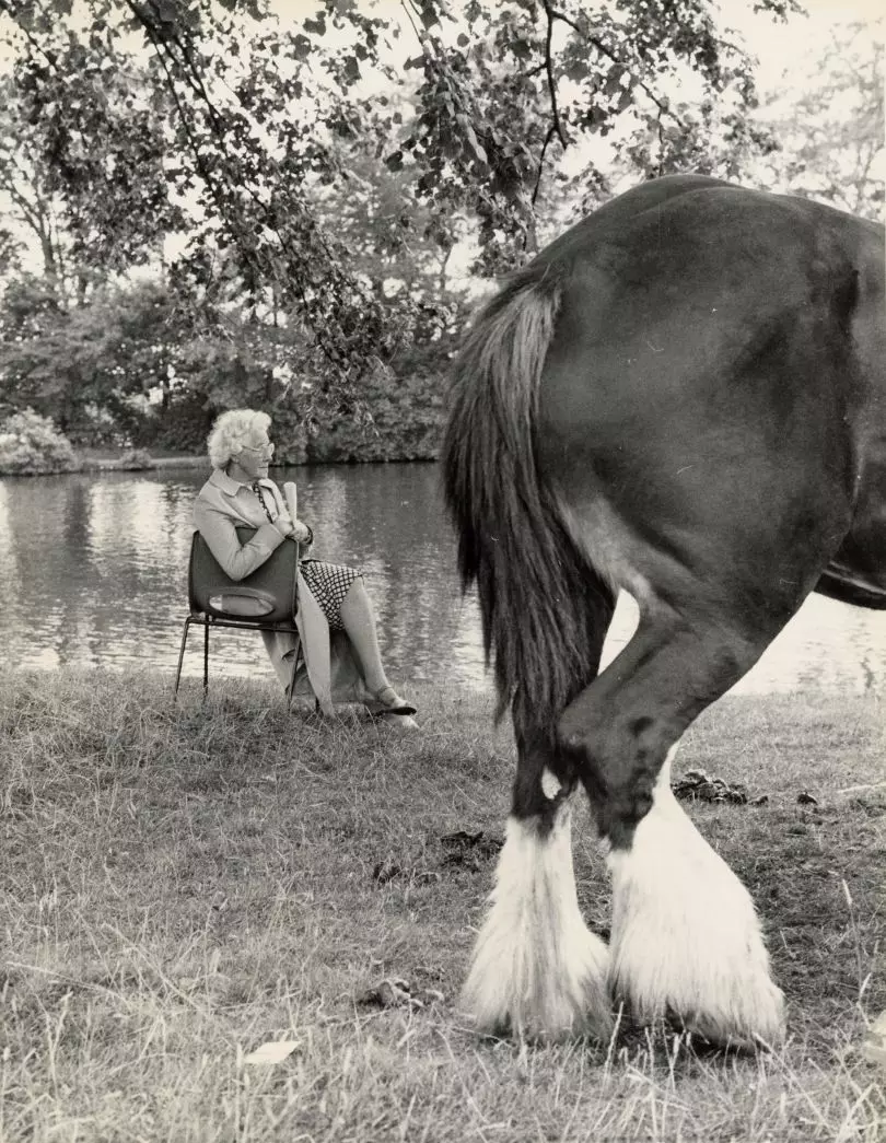 Shirley Baker, Bez názvu (Žena a kôň), 1968