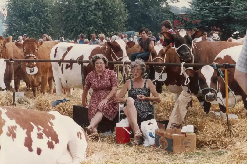 Shirley Baker, Bez názvu, 1983