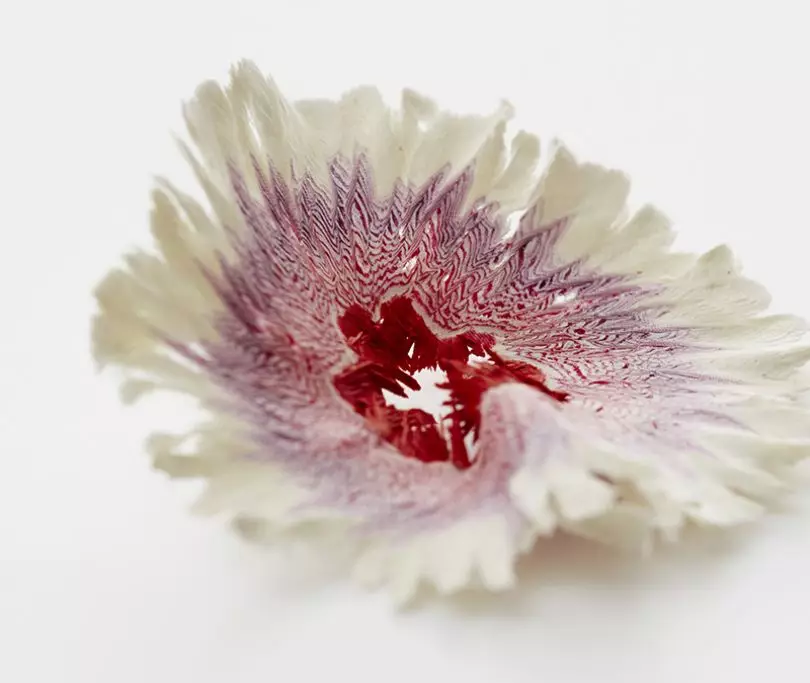 گل های کاغذی: آثار هنری گلبرگ خیره کننده که از تراشه های کاغذ ساخته شده اند 4692_6
