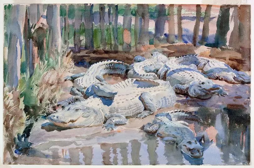 Muddy Alligators, 1917. John Singer Sargent, amerikaner (aktiv London, Firenze og Paris), 1856-1925. Akvarel over grafit, med maskering og afskrabning, på vævet papir, ark: 13 9/16 × 20 7/8 tommer. Worcester Art Museum, Sustaining Membership Fund.