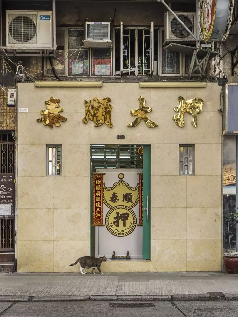 Ladenkatzen: Der Fotograf fängt bezaubernde Katzen ein, die in Hongkongs Geschäften leben 4833_23