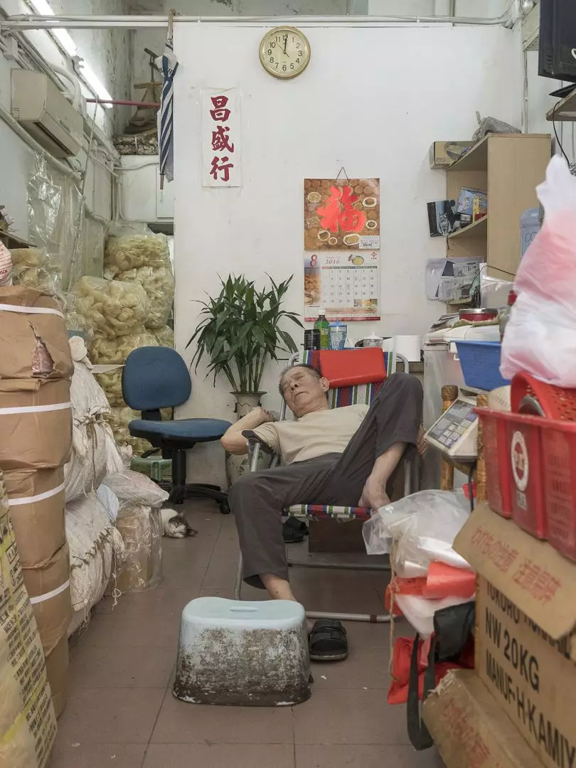 Shop Cats: Fotograf snima šarmantne mačke koje žive u radnjama u Hong Kongu 4833_7