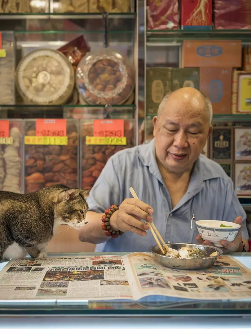 Winkelkatte: Fotograaf neem bekoorlike katte vas wat in Hong Kong se winkels woon 4833_9