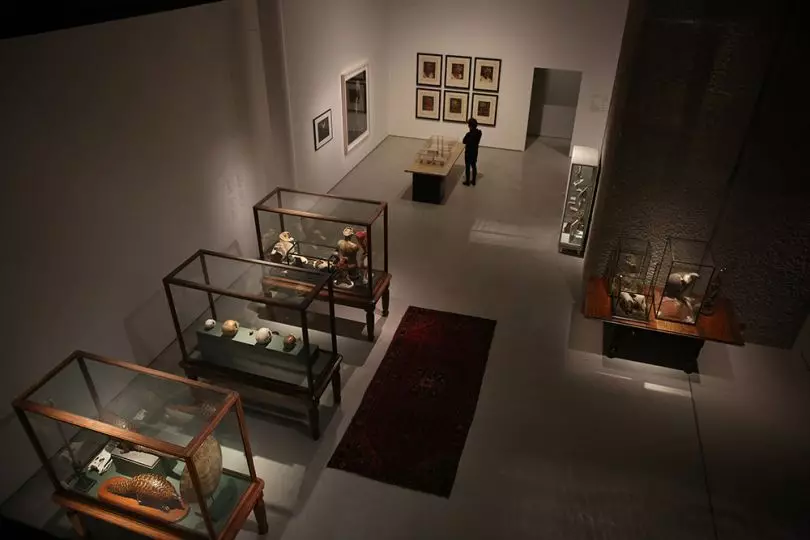 Magnificent Obsessions: The Artist as Collector. Foto av Peter McDiarmid