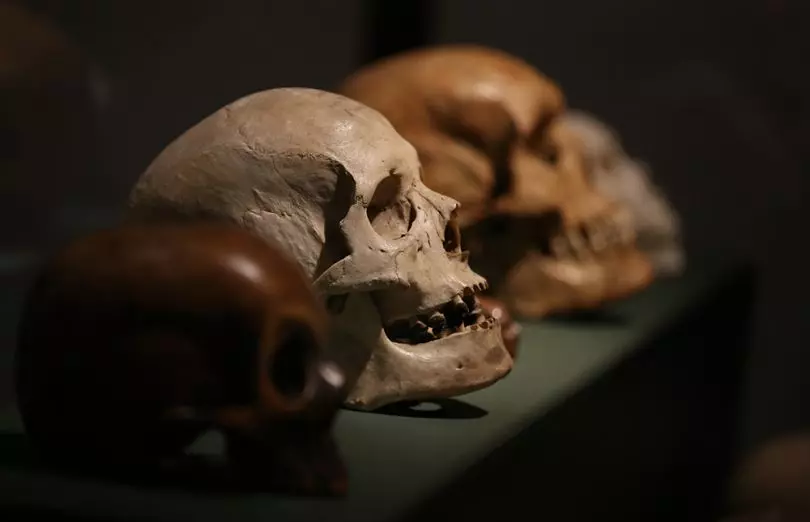 Veličastne obsesije: Umetnik kot zbiratelj, zbirka Damiena Hirsta. Fotografija Peter McDiarmid