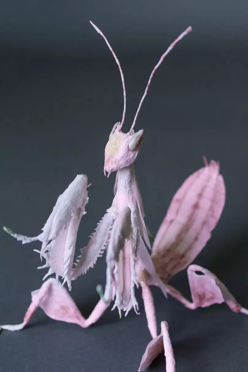 Insetos de papel realistas meticulosamente feitos de papel crepom fino 5018_15