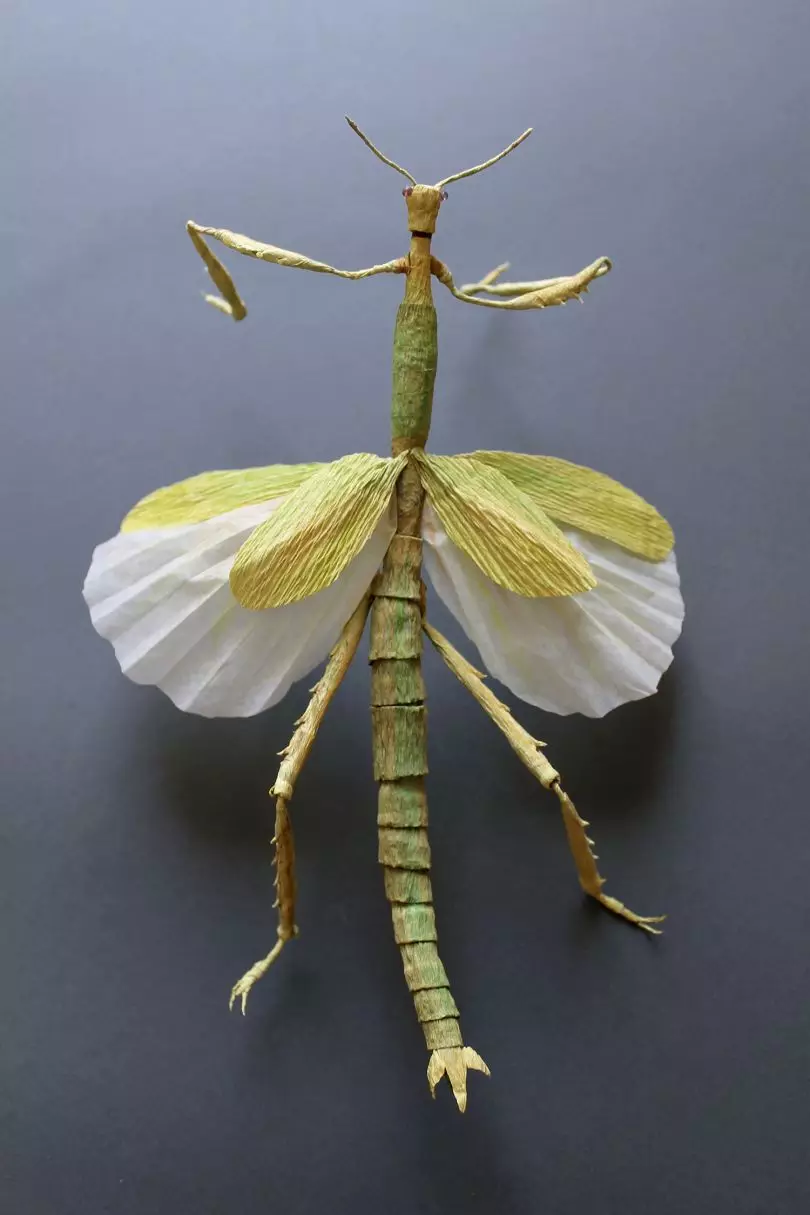 Insectos de papel realistas cuidadosamente hechos de papel crepé fino. 5018_18