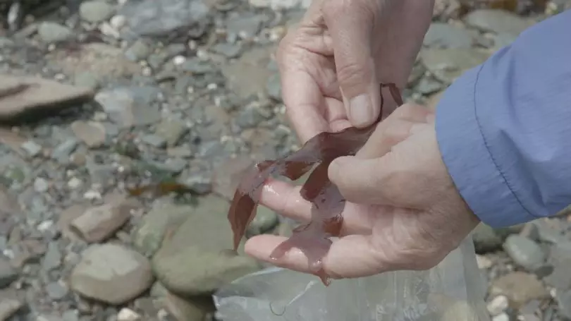 בריוני גילארד, עדיין מ-Uctuous Between Fingers, 2019. וידאו באדיבות האמן, בהזמנת רם