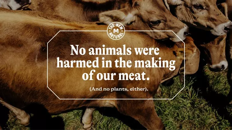 Kotos Identität für Meatable hofft, die Welt dazu zu bringen, über „unschädliches Fleisch“ zu sprechen 5253_5