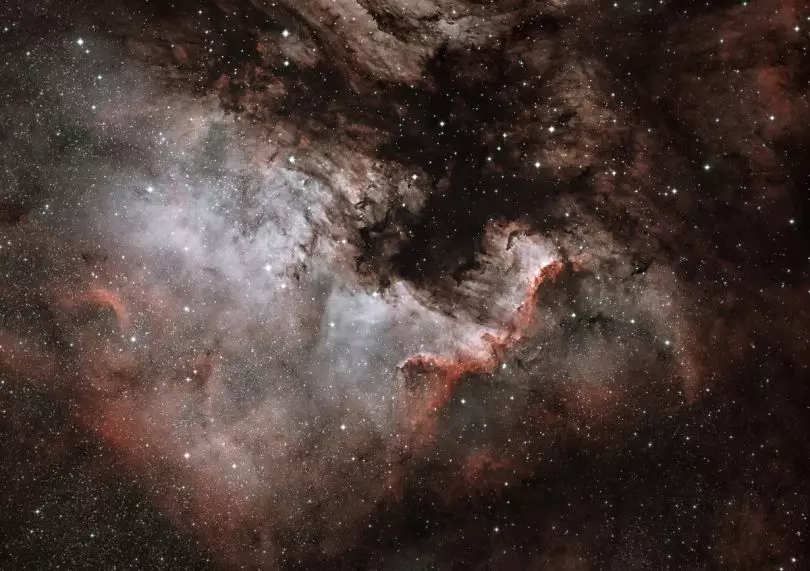 NGC7000 Nebula Nò Ameriken © Dave Watson