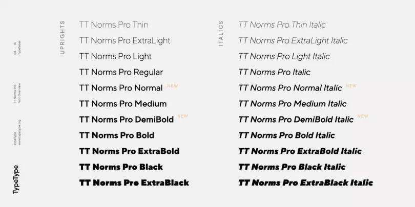 TT Norms Pro ndi TypeType