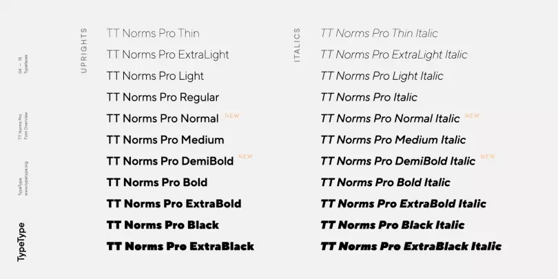 TT Norms Pro minn TypeType