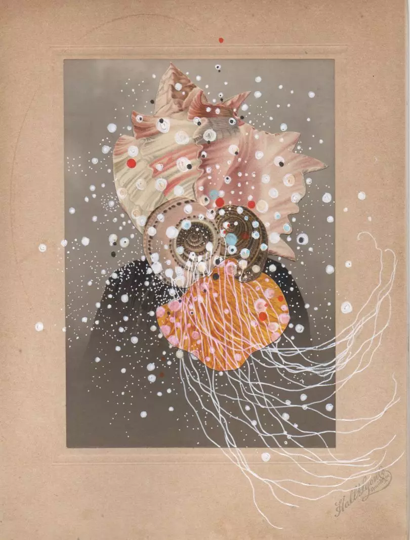 Bells collages i dibuixos de vida marina coberta de flors de Jenny Brown 5704_7