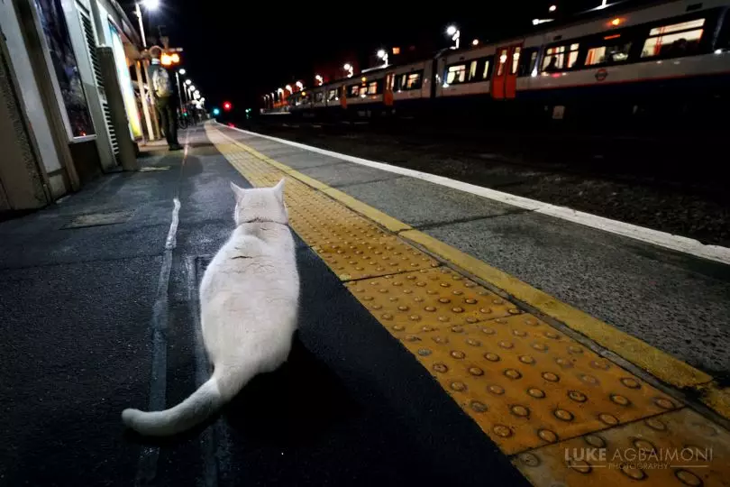 The Tube Mapper: Misean an ghrianghrafadóra Luke Agbaimoni gach stáisiún Londain Faoi Thalamh a dhoiciméadú 5773_4