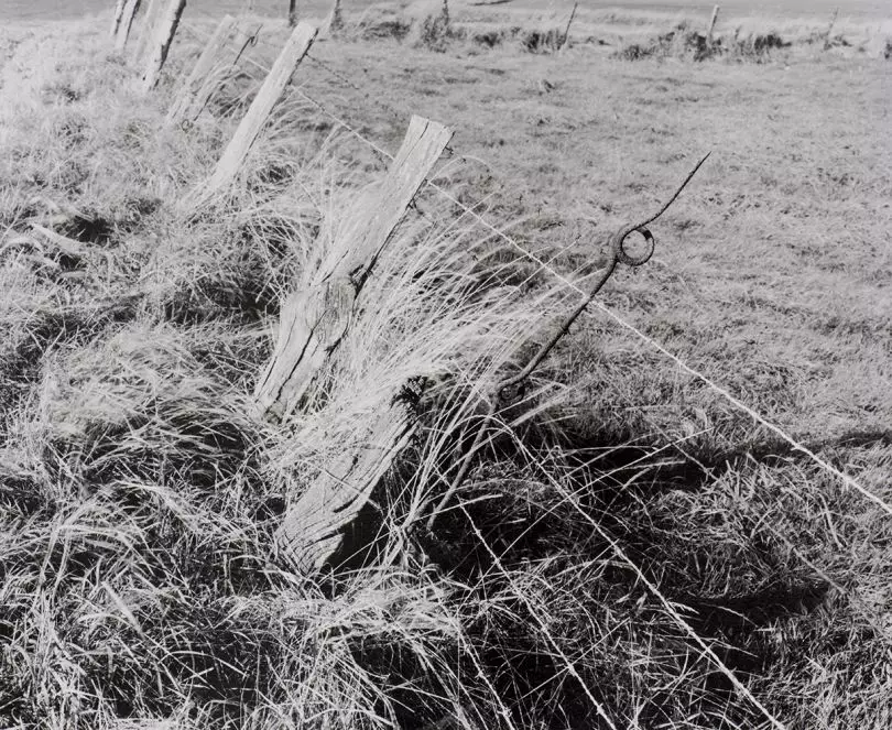 Piket Kawat di Pagar Ladang, Frezenburg. © Peter Cattrell