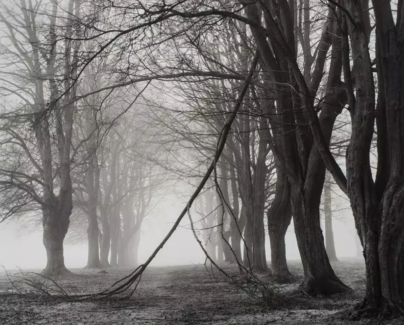 Newfoundland Park. © Peter Cattrell