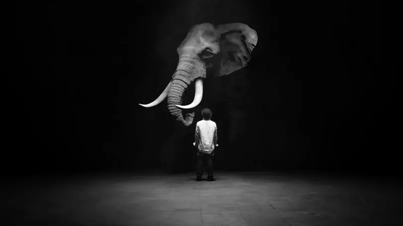 „Пас и слон“ прича причу о мало вероватном сродству између младог боксера и слона 6182_1