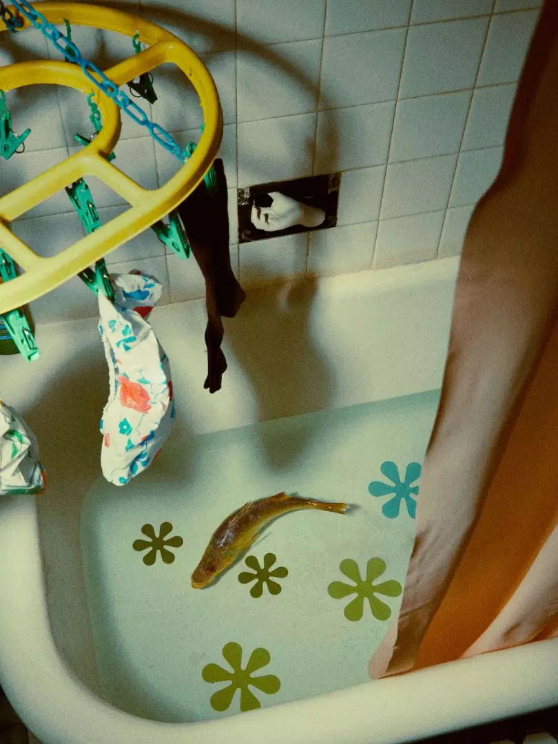 A Carp in the Tub : le projet photographique retraçant les poissons, et adoption 6203_6