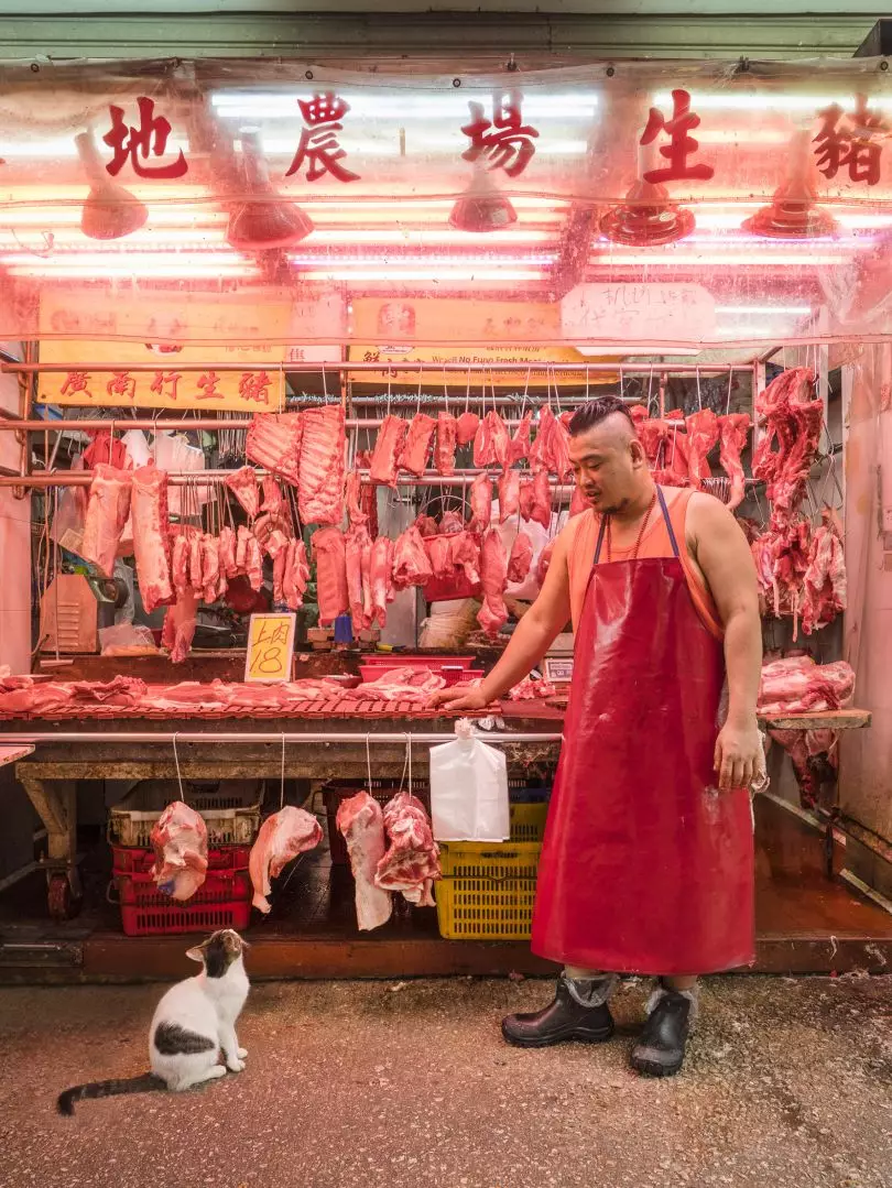 Ljósmyndari afhjúpar leynilegt líf markaðskatta í Hong Kong í grípandi þáttaröðum 6326_1