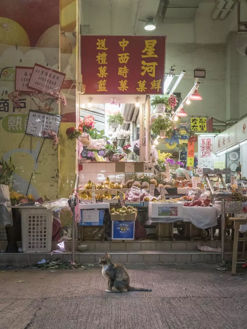 Ljósmyndari afhjúpar leynilegt líf markaðskatta í Hong Kong í grípandi þáttaröðum 6326_18