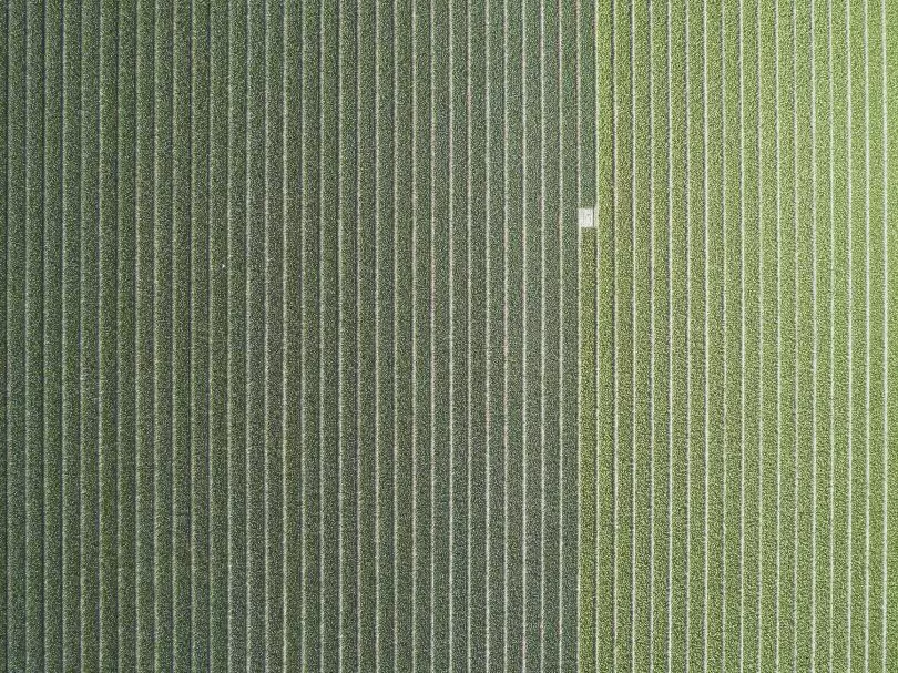 Luchtfoto's van Kevin Krautgartner die de natuurlijke symmetrie en patronen van de wereld laten zien 6359_14