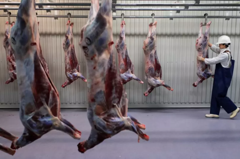 Marika Renhuvud helps out in the slaughterhouse on October 24, 2016 in Idre, Sweden. Joel Marklund / BILDBYRÅN