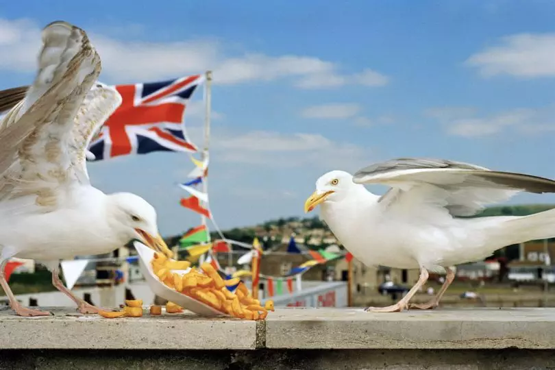 LON5220 GB. Anglija. Dorseta. No West Bay. 1996. © Martin Parr - Magnum Photos