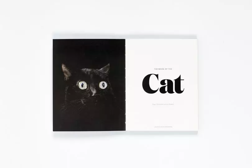 Die Boek van die Kat bevat kattekuns en illustrasies deur kunstenaars van regoor die wêreld 6583_2