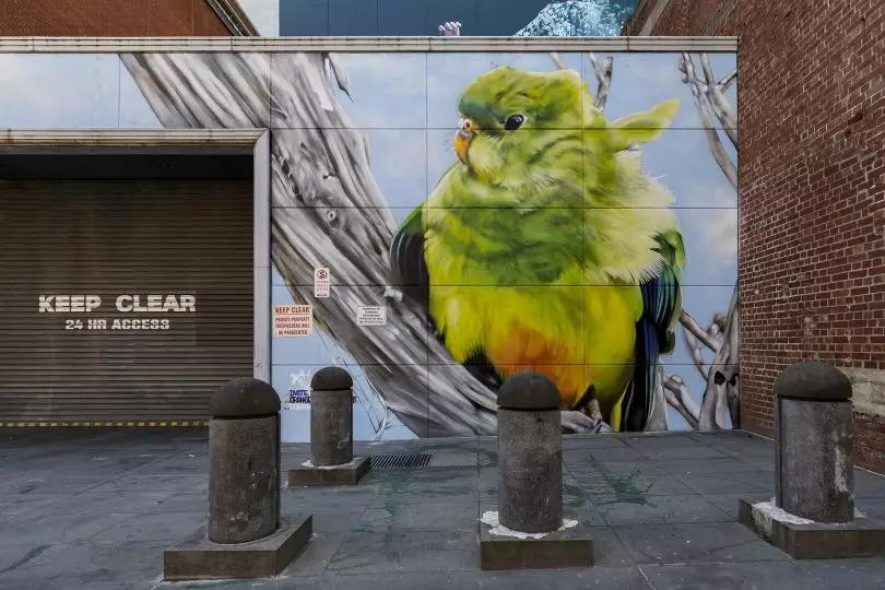 Australiska konstnärer förenas för att skapa Melbournes första officiella gatukonstområde 6611_5