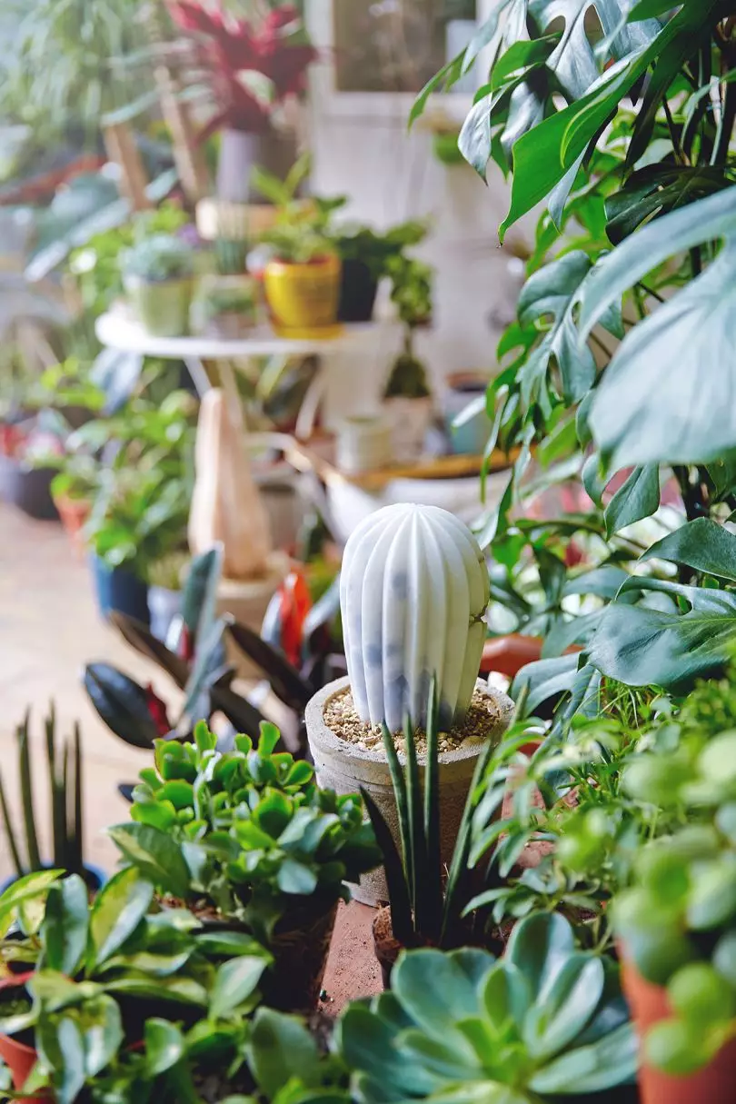 Ben Russell, Cactus House, Alabaster, 2017. Fotografía cedida por Tanya Dolver