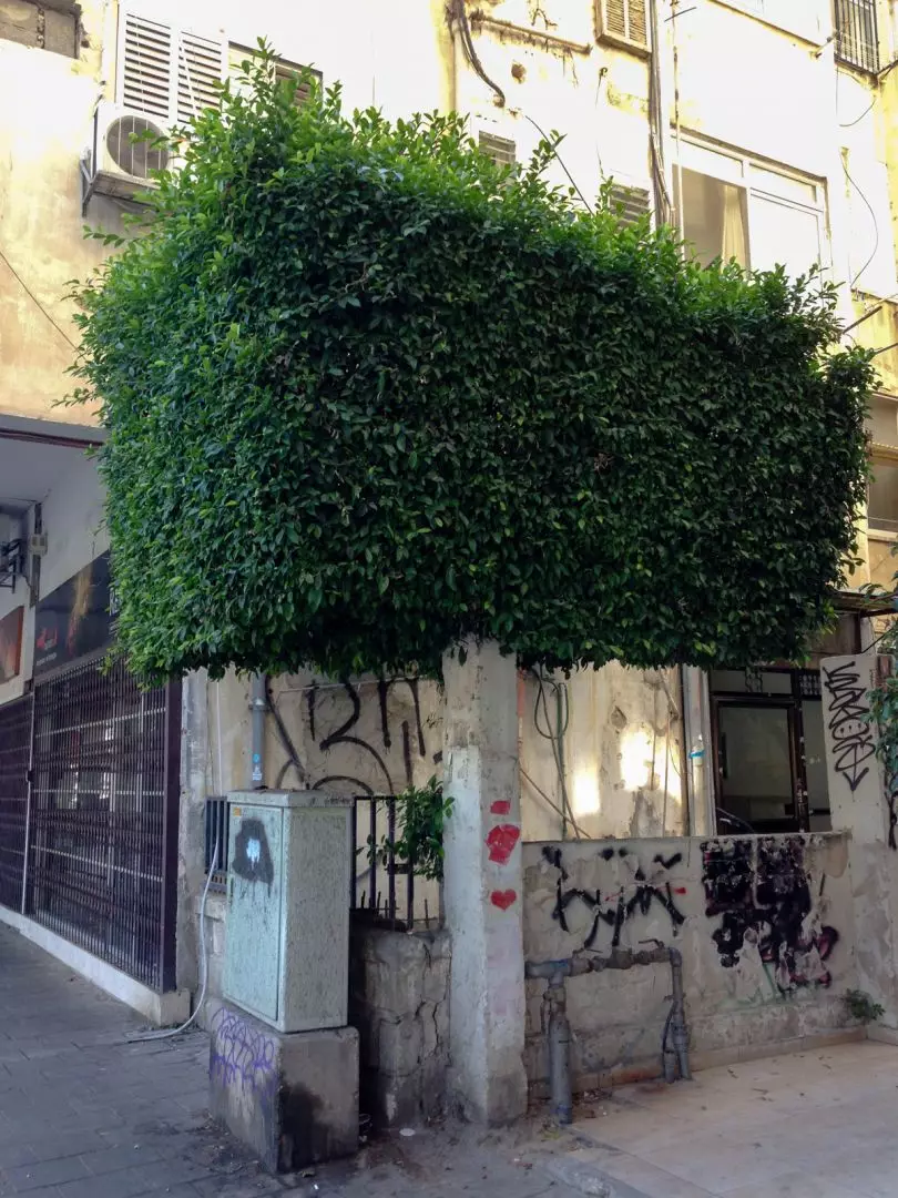 Urban Nature: Ο David Goldstein δείχνει την ομορφιά των πόλεων που συνυπάρχουν με τη φύση 7009_3