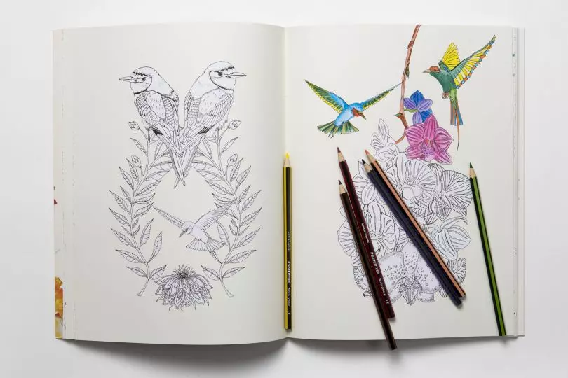 Birdtopia: Buku mewarna dengan ilustrasi cantik oleh Daisy Fletcher yang berbakat 7258_1