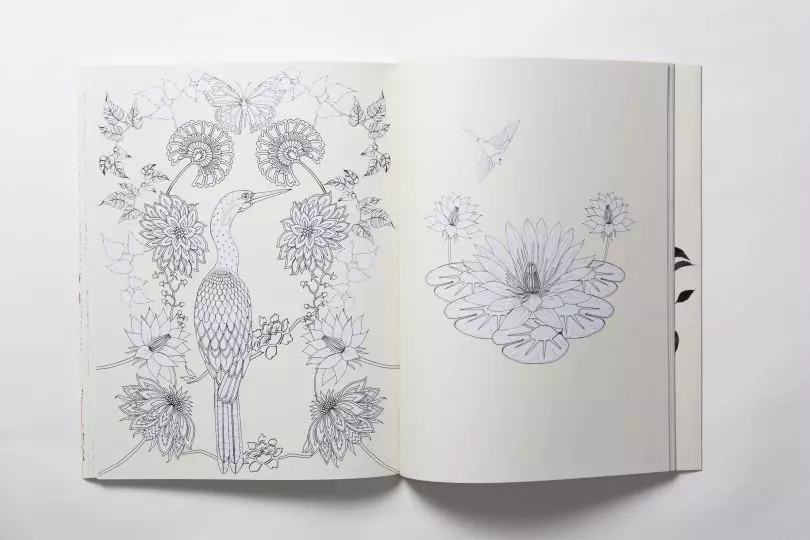 Birdtopia : Un livre de coloriage magnifiquement illustré par la talentueuse Daisy Fletcher 7258_10