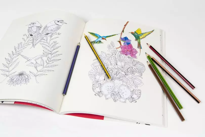 Birdtopia: In prachtich yllustrearre kleurboek fan de talintfolle Daisy Fletcher 7258_12