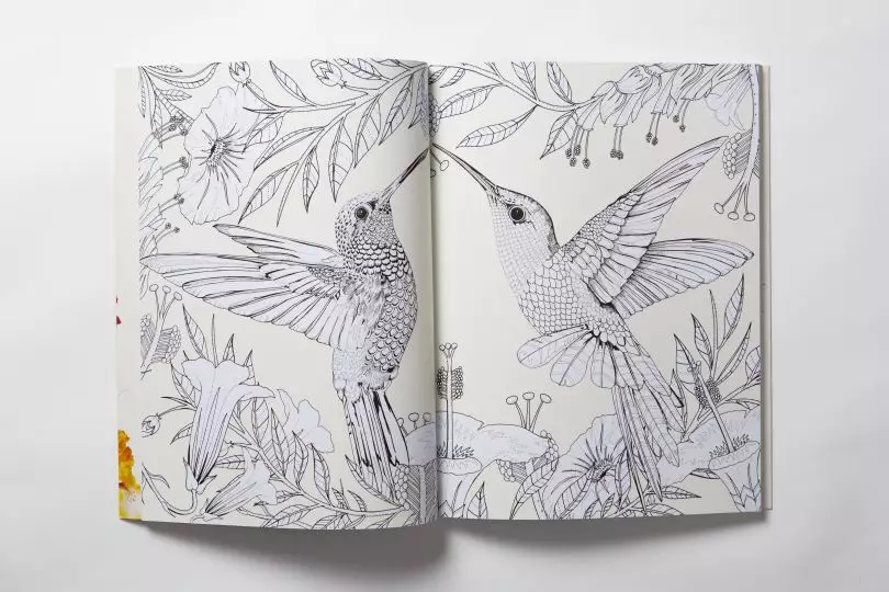 Birdtopia: Buku ngawarnaan anu digambar saé ku Daisy Fletcher anu berbakat 7258_3