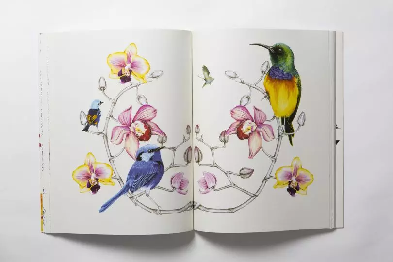 Birdtopia: Красиво иллюстрированная книжка-раскраска талантливой Дейзи Флетчер. 7258_4