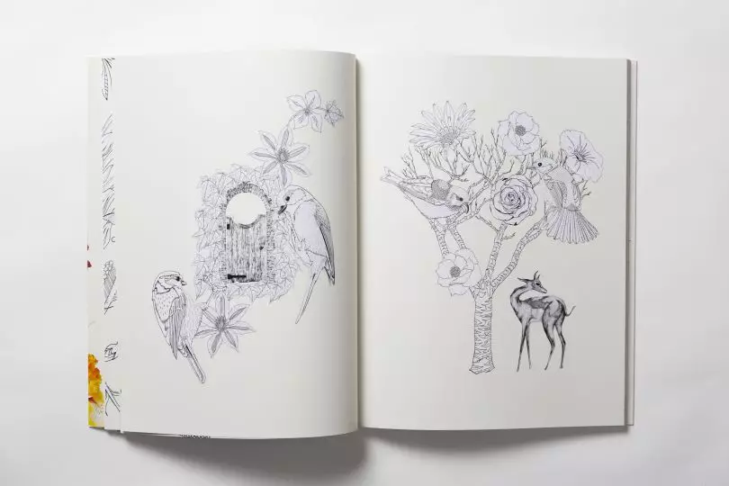 Birdtopia : Un livre de coloriage magnifiquement illustré par la talentueuse Daisy Fletcher 7258_5