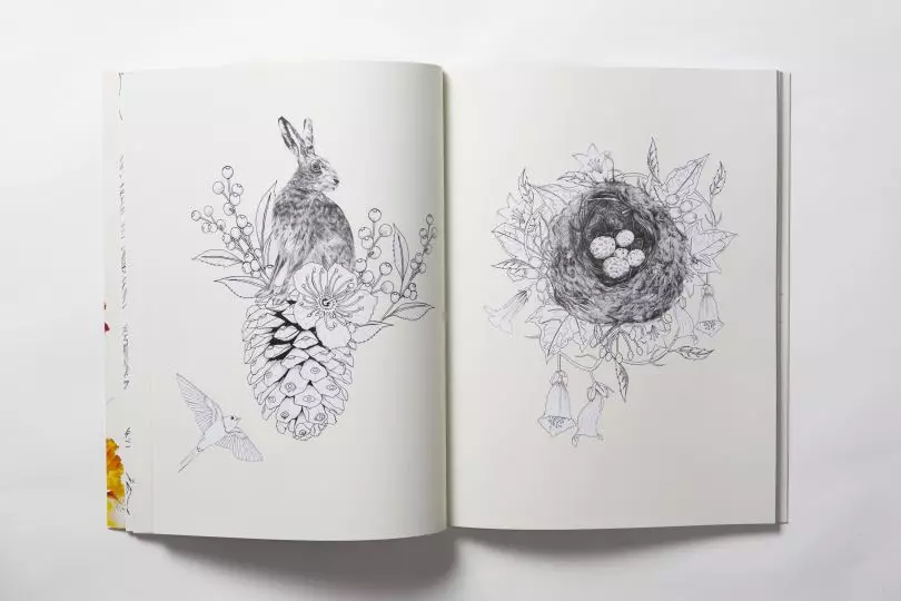 Birdtopia: Красиво иллюстрированная книжка-раскраска талантливой Дейзи Флетчер. 7258_6