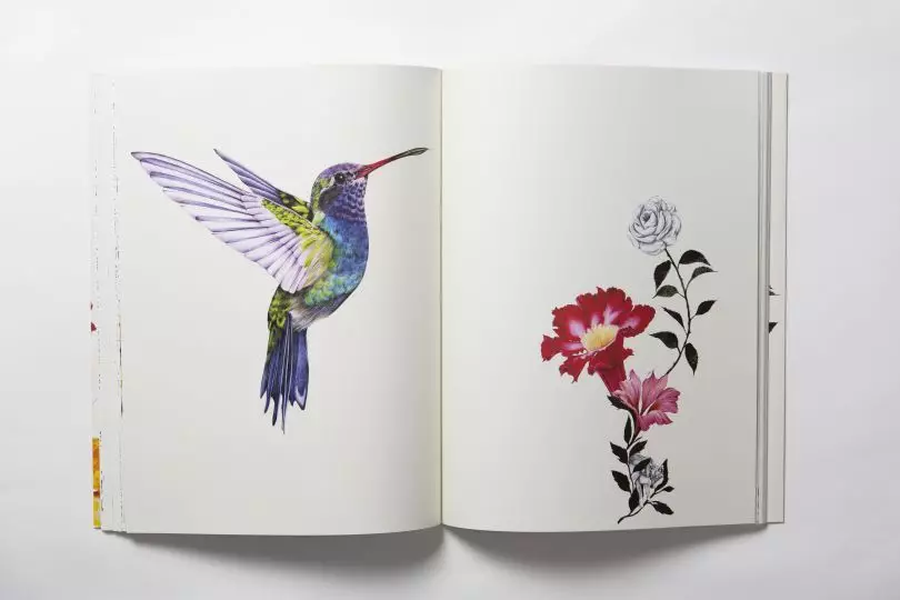 Birdtopia: Divno ilustrovana bojanka talentovane Daisy Fletcher 7258_7