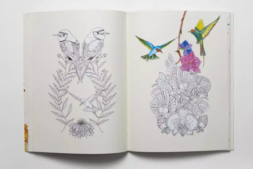 Birdtopia: Yetenekli Daisy Fletcher'ın güzel resimli boyama kitabı 7258_9