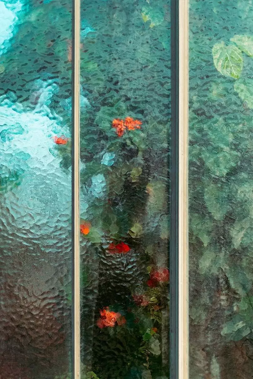Foto-foto lembut dan indah dari kebun raya yang terlihat seperti lukisan cat minyak 7652_3