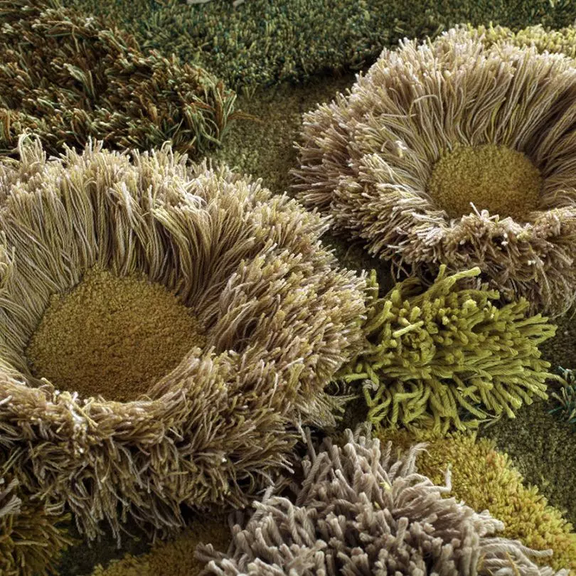 Szőnyeg műalkotások: A művész gyapjút használ a zöld és természetes tájak szőnyeges jeleneteinek szövéséhez 8166_9