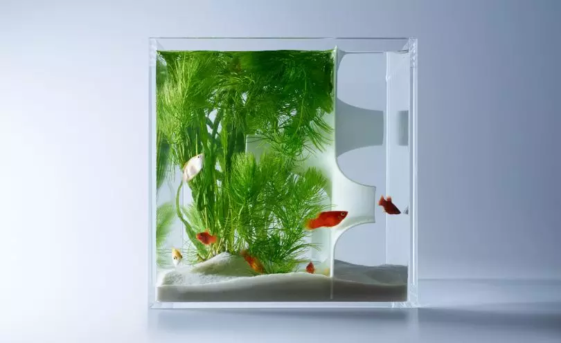 Ebe mmiri: Aquarium nke pere mpe na-ese n'elu echiche nke mbipụta 3D n'okpuru mmiri 8186_1