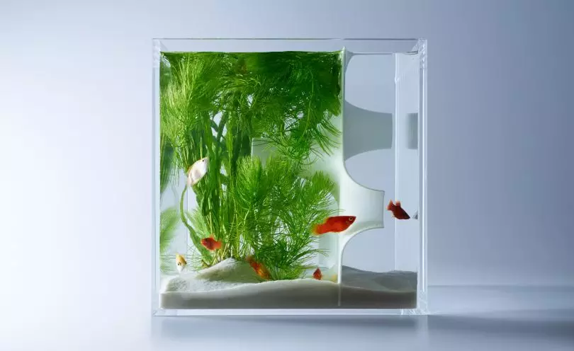 I-Waterscapes: Ama-aquariums amancane antanta umqondo wokuphrinta kwe-3D ngaphansi kwamanzi 8186_1