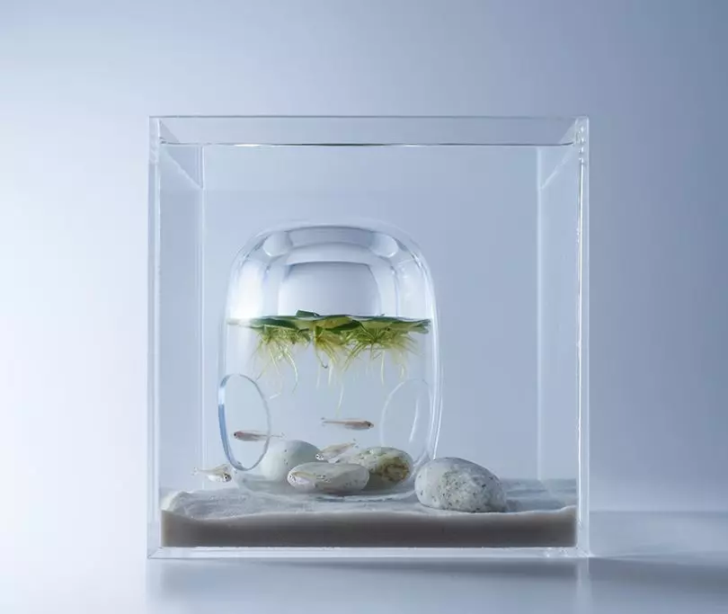Ebe mmiri: Aquarium nke pere mpe na-ese n'elu echiche nke mbipụta 3D n'okpuru mmiri 8186_3