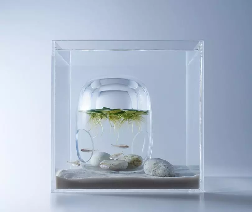 Waterscapes: Ƙananan aquariums waɗanda ke iyo ra'ayin buga 3D na ƙarƙashin ruwa 8186_3