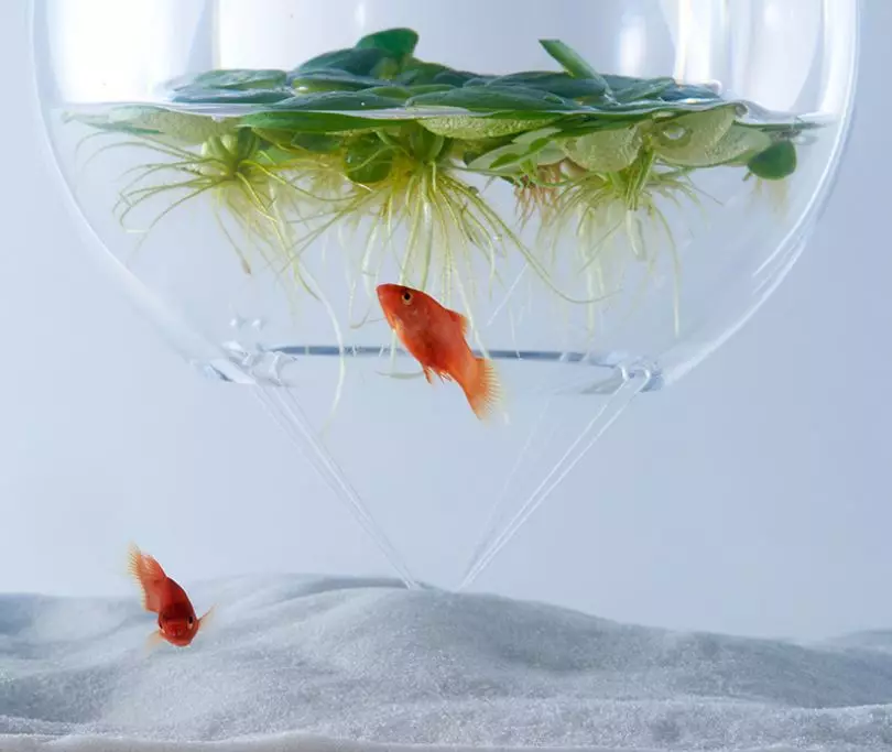 Awọn oju omi: Awọn aquariums ti o kere ju ti o leefofo ni imọran ti titẹ 3D labẹ omi 8186_5