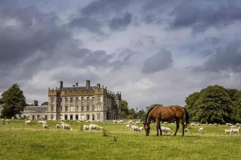 Dom Borrisa, Borris. Zdjęcie dzięki uprzejmości [Tourism Ireland](http://www.ireland.com/en-gb/)